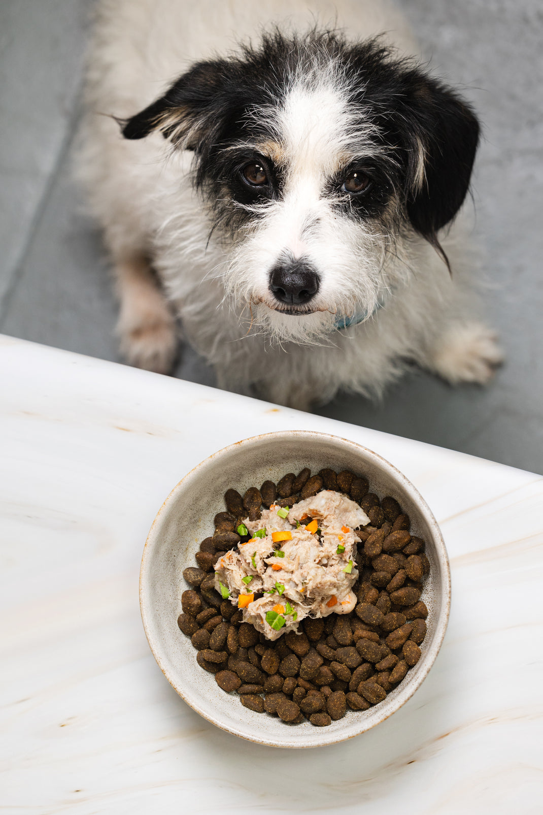 5 Element Food Therapy